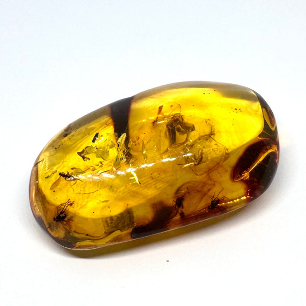 Amber with Insects - Stone # 1 – The Amber Room